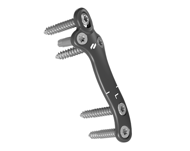 Lapidus Plates | Novastep International